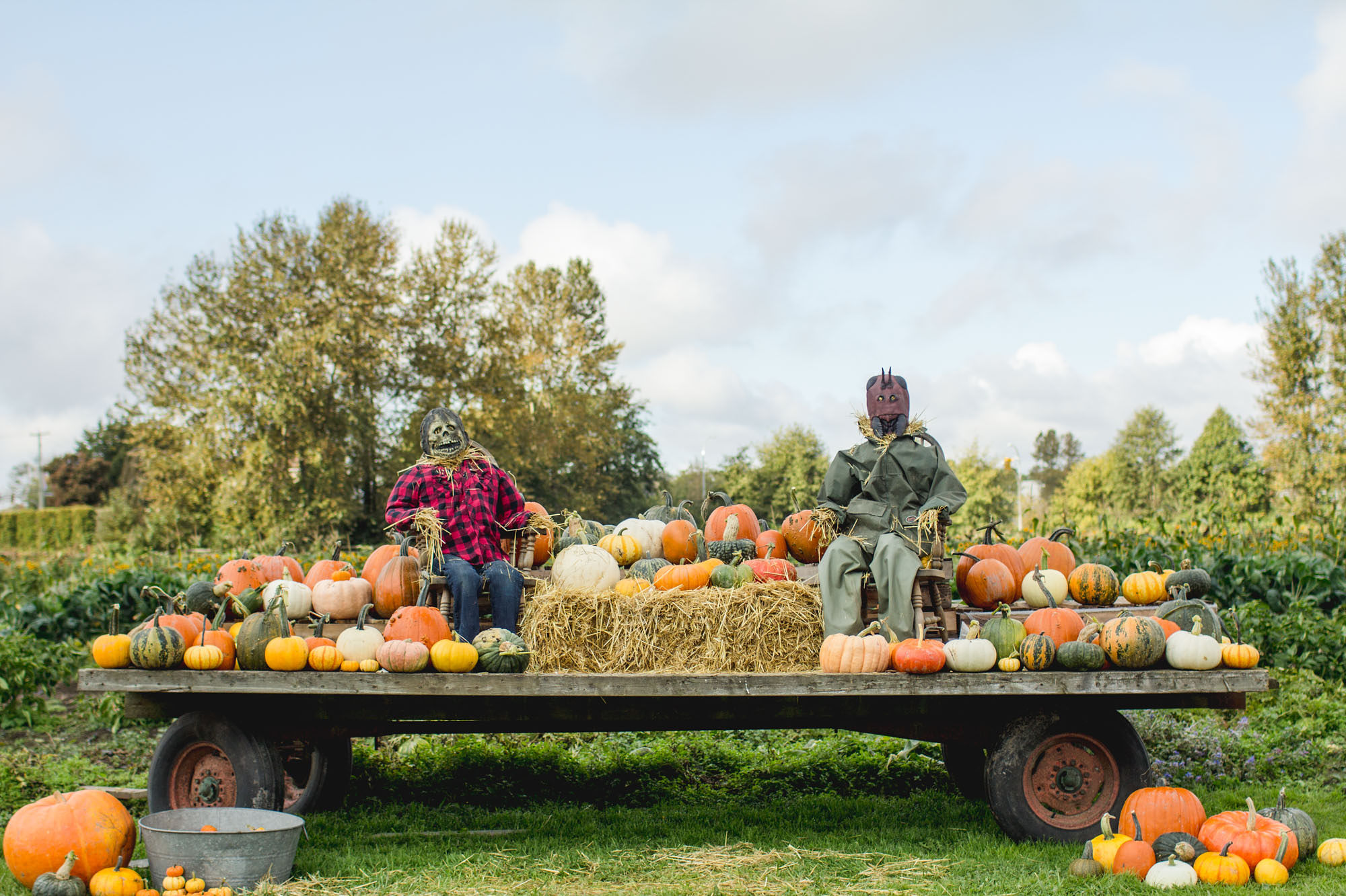 The Best Pumpkin Patches the Lower Mainland Has to Offer - My West ...